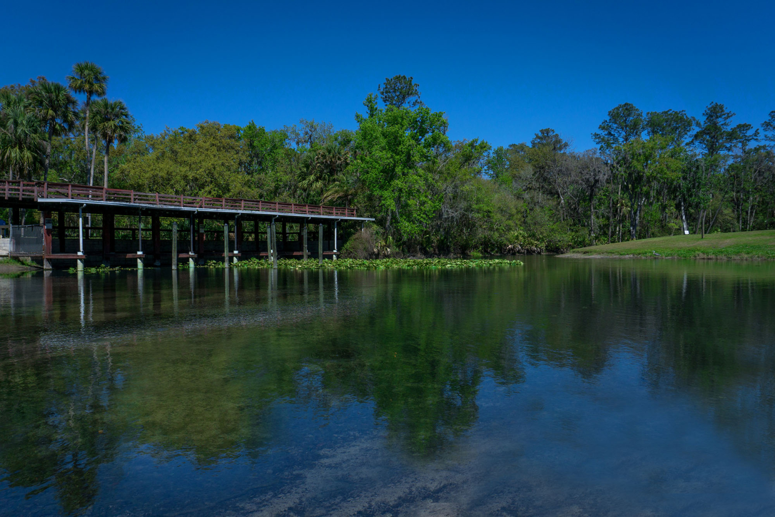 Wekiva Falls RV Resort | Sorrento, FL